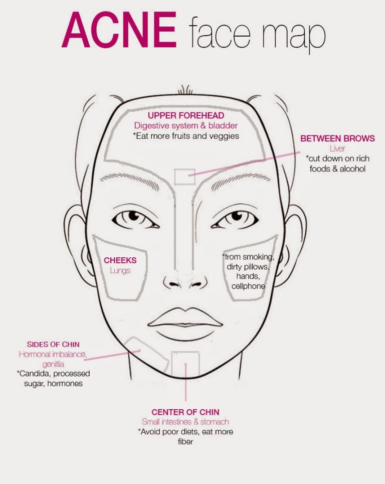 A Brief Introduction to Face Mapping | Boundless beauty blog